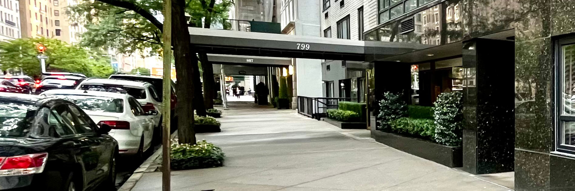 NYC Asthetic And Reconstructive Plastic Surgery Casian Monaco MD | UES